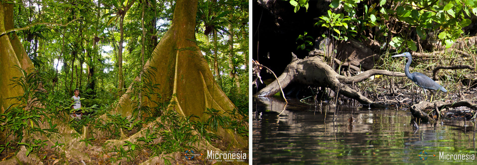 Min-On Music Journey No. 33: The Federated States of Micronesia ...